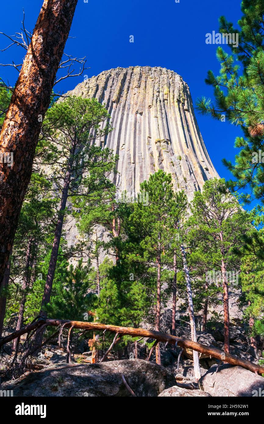 Black hills national forest climb hi-res stock photography and images ...