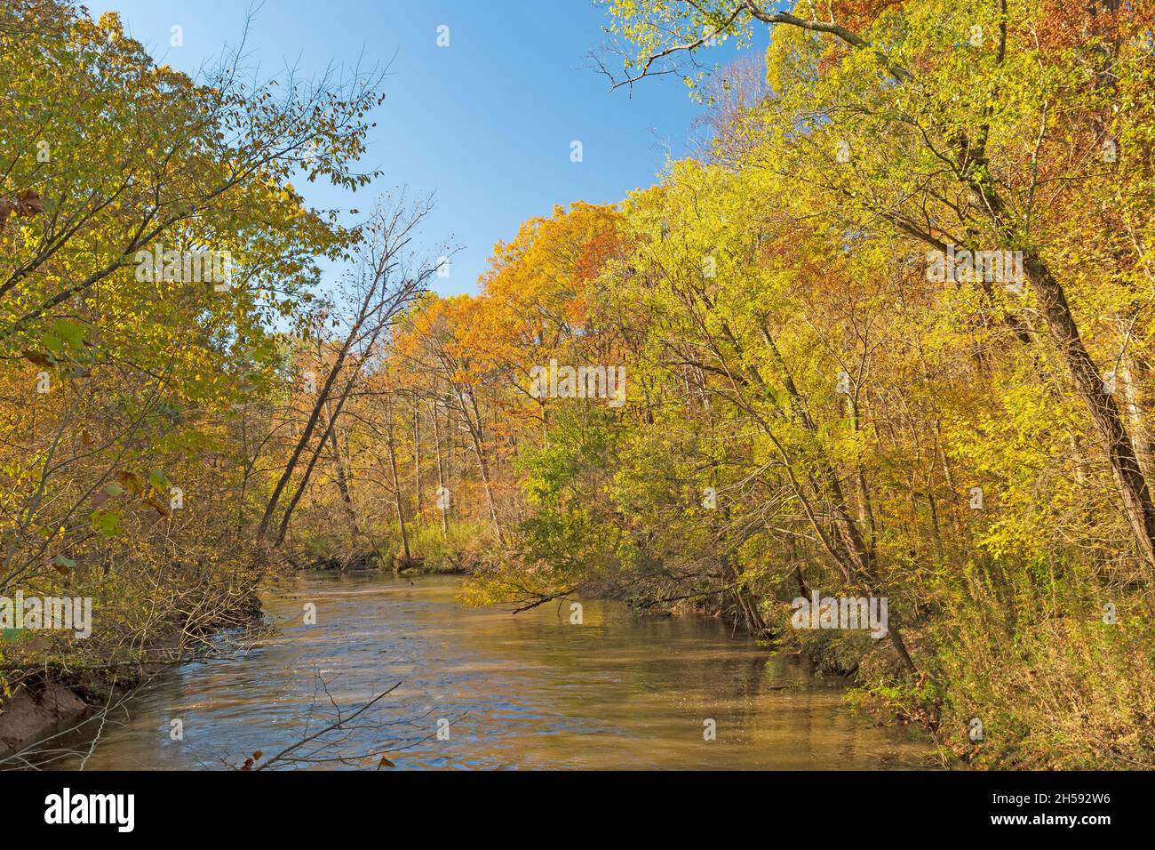 Autumn Colors Along the Cache River in Illinois Stock Photo - Alamy