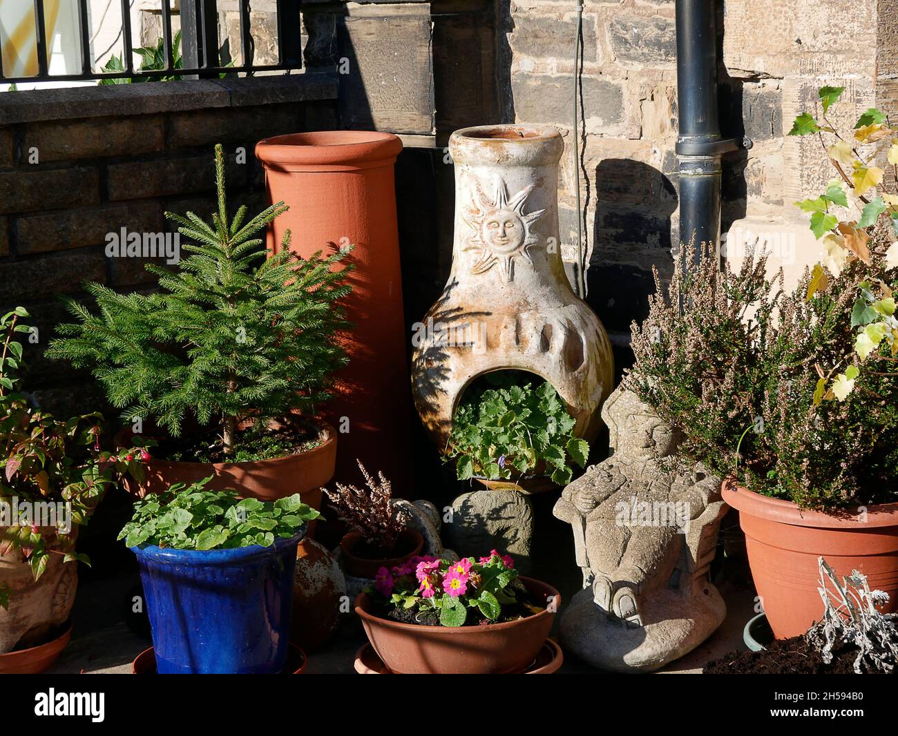 The doorsteps of Padiham Houses reflect the tastes of their owners ...