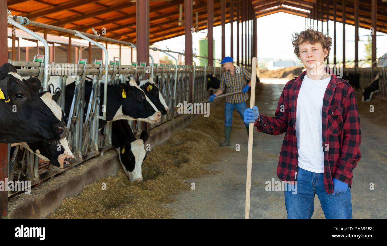 Confident teen boy standing with tool near stall with cows Stock Photo ...