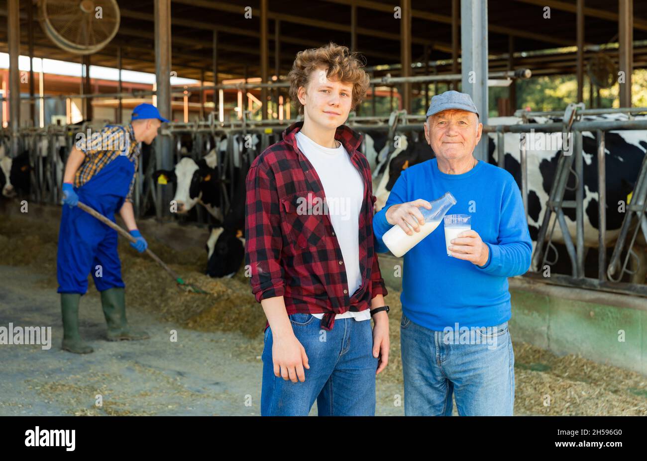 Various aged workers of milk farm in cowhouse Stock Photo - Alamy