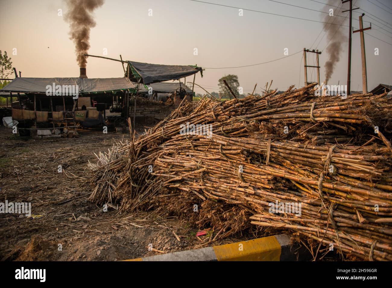 Jaggery production unit working in full swing in lower part of Roorkee ...