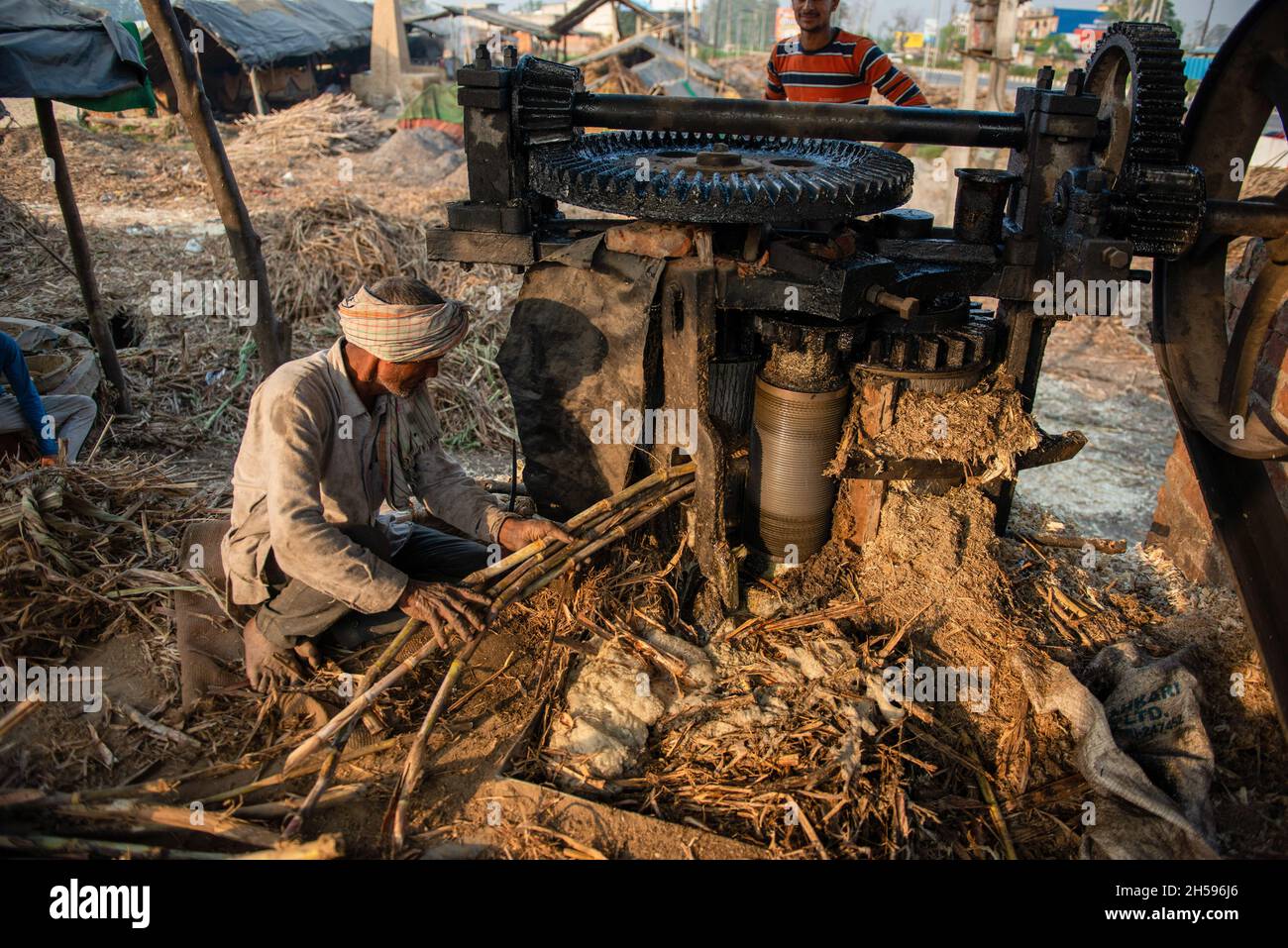 A worker puts sugarcane into a crusher machine for extracting juice ...
