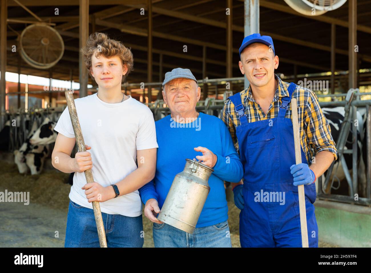 Three cheerful friendly livestock farm workers posing in cowshed Stock ...