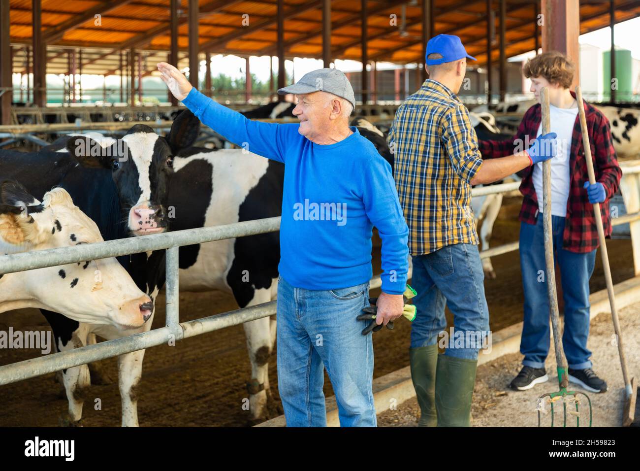 Stable workers hi-res stock photography and images - Alamy