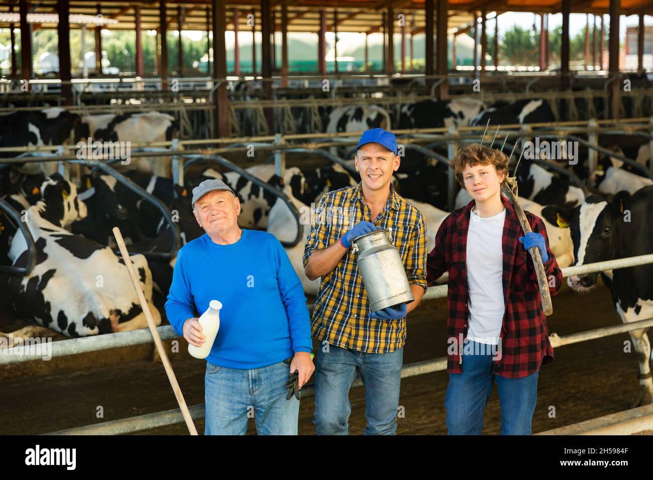 Positive elderly cow breeder with adult son and teenage grandson in ...