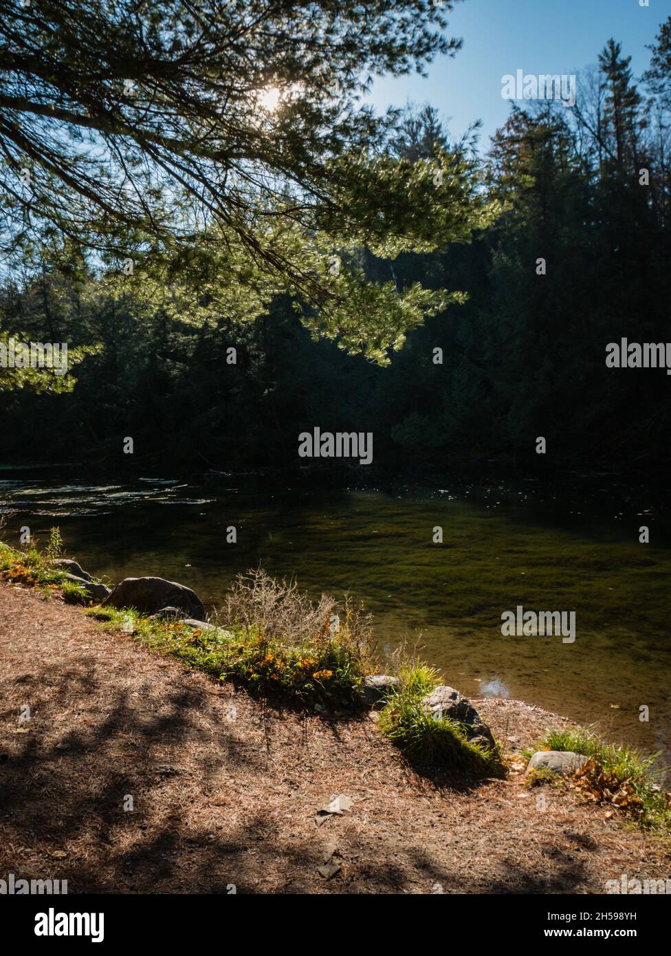 Small river in the sun hi-res stock photography and images - Alamy