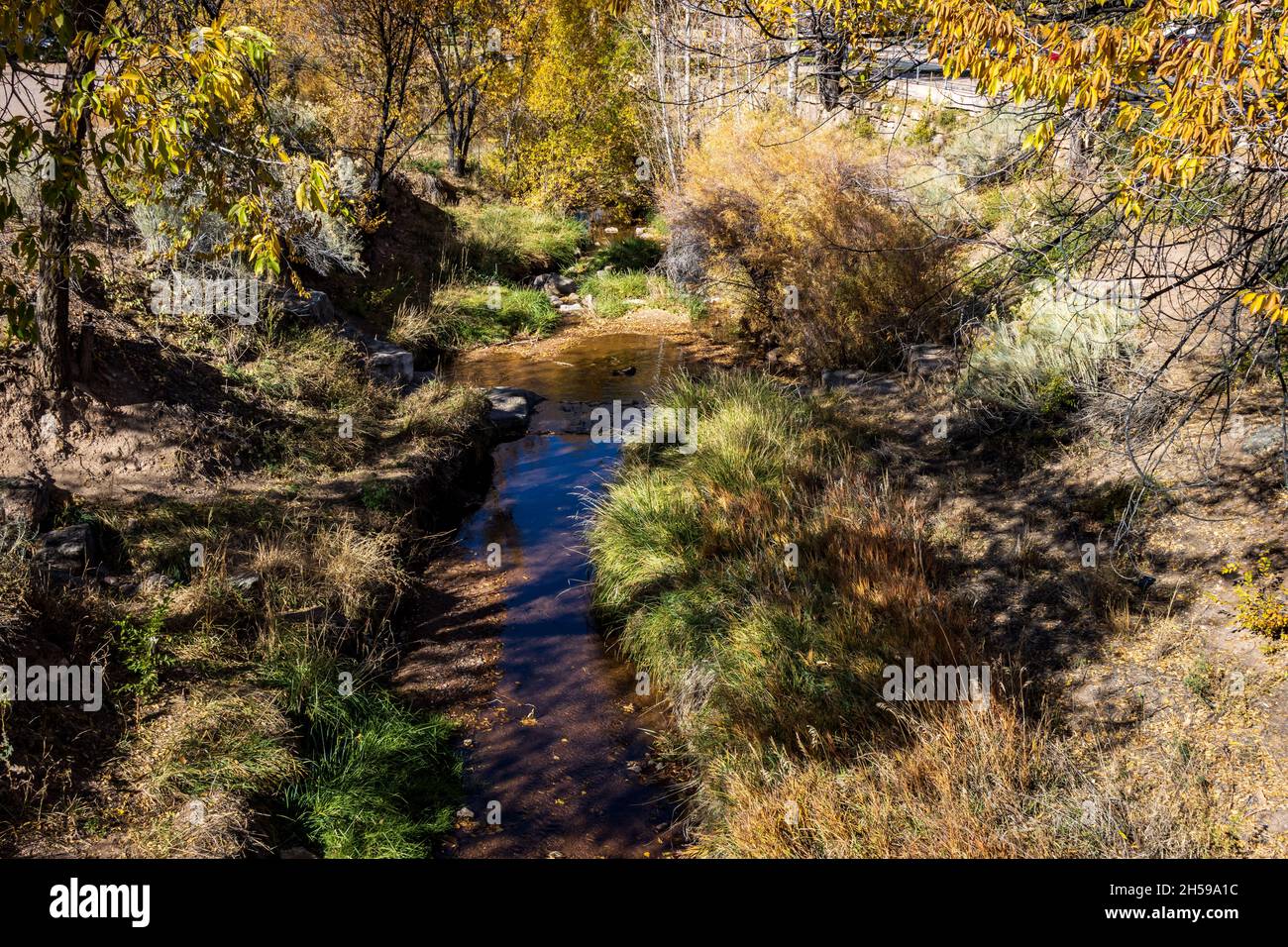 The Santa Fe river with autumn colors all around Stock Photo - Alamy