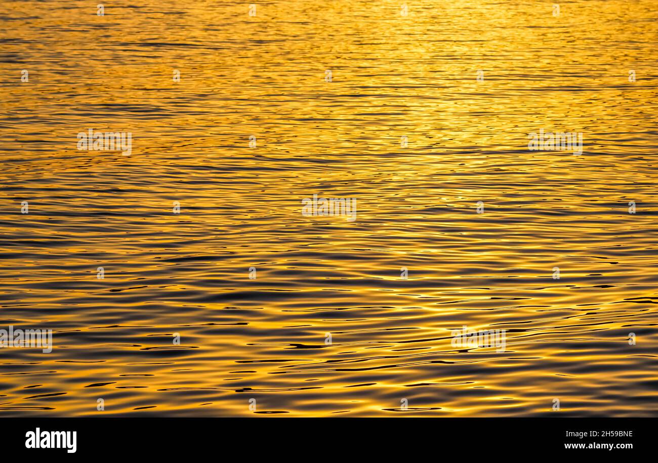Golden sea waves in sunset glow as surface background. Summer holidays ...
