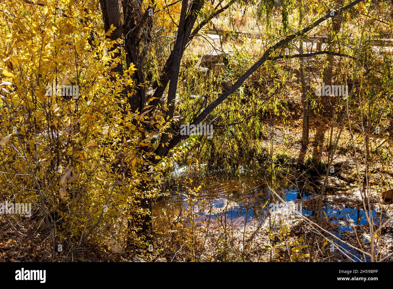 The Santa Fe river flows through the wilderness Stock Photo - Alamy