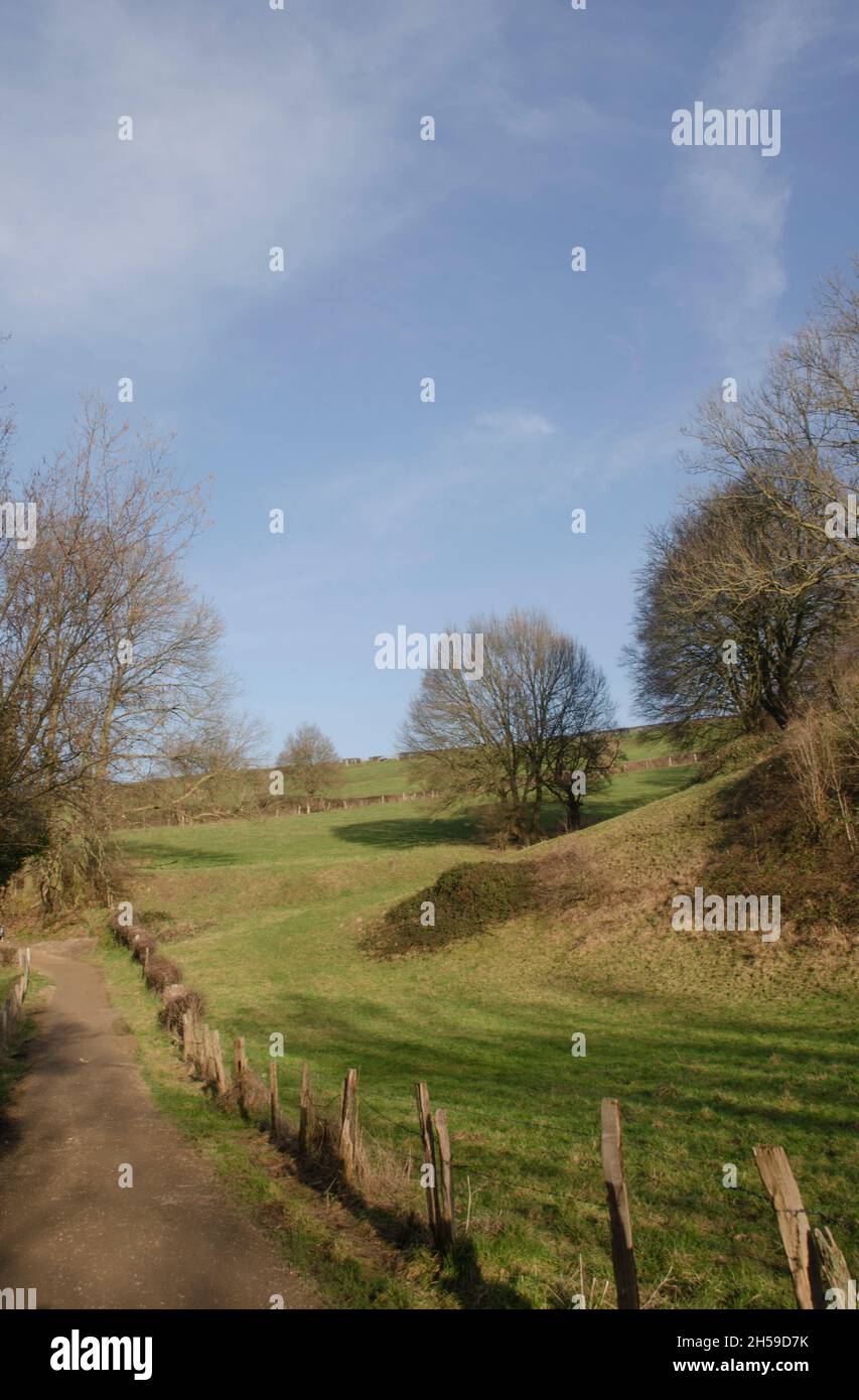 Campus campus landschaft hi-res stock photography and images - Alamy