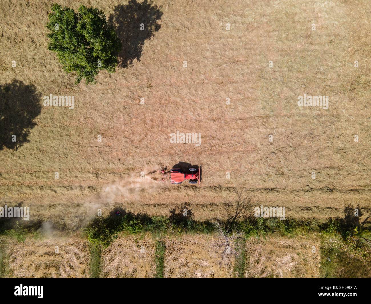 Aerial view of tractor harvesting pangola grass using mechanical ...