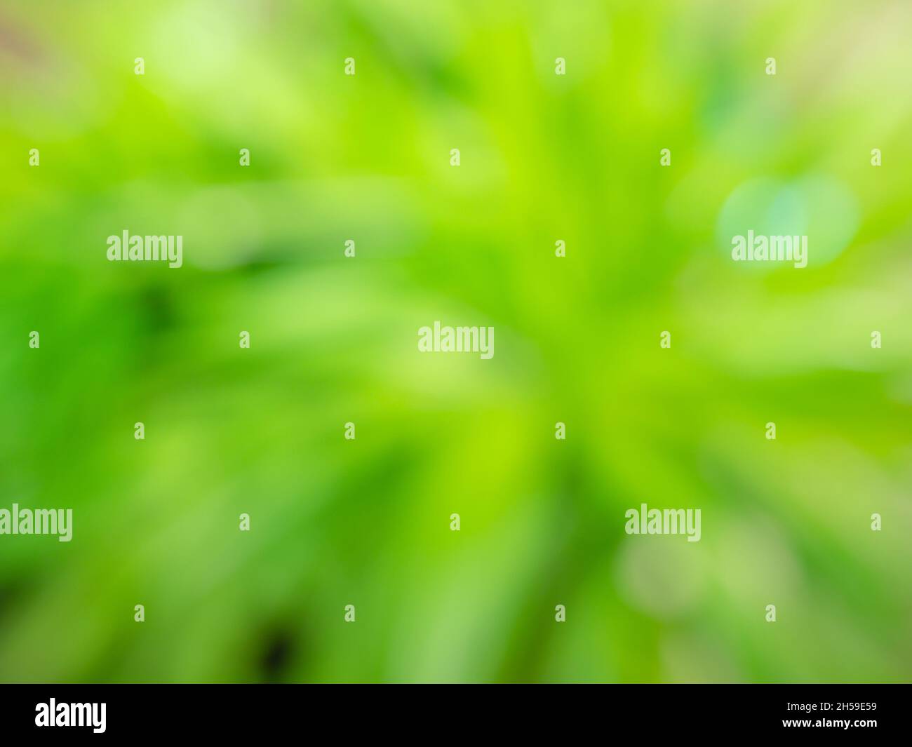 Out of focus elements hi-res stock photography and images - Alamy