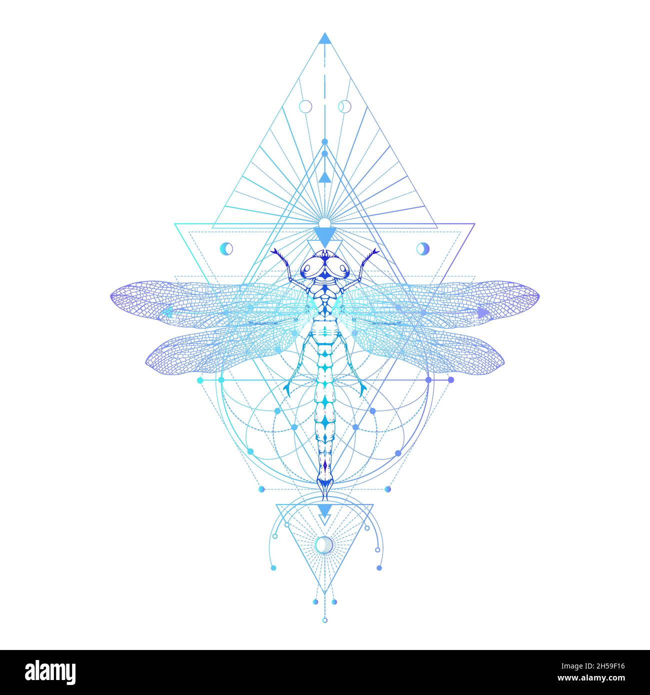 Vector illustration with hand drawn dragonfly and Sacred geometric ...