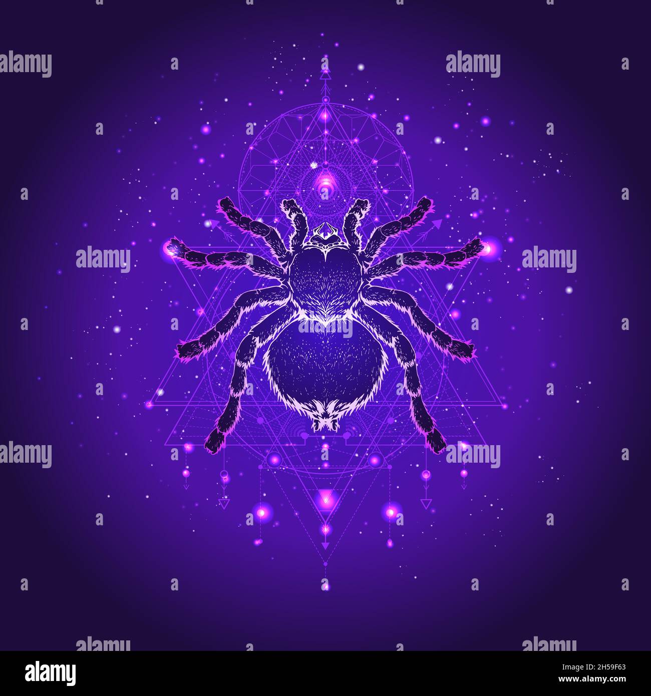 Vector illustration with hand drawn spider tarantula and Sacred ...