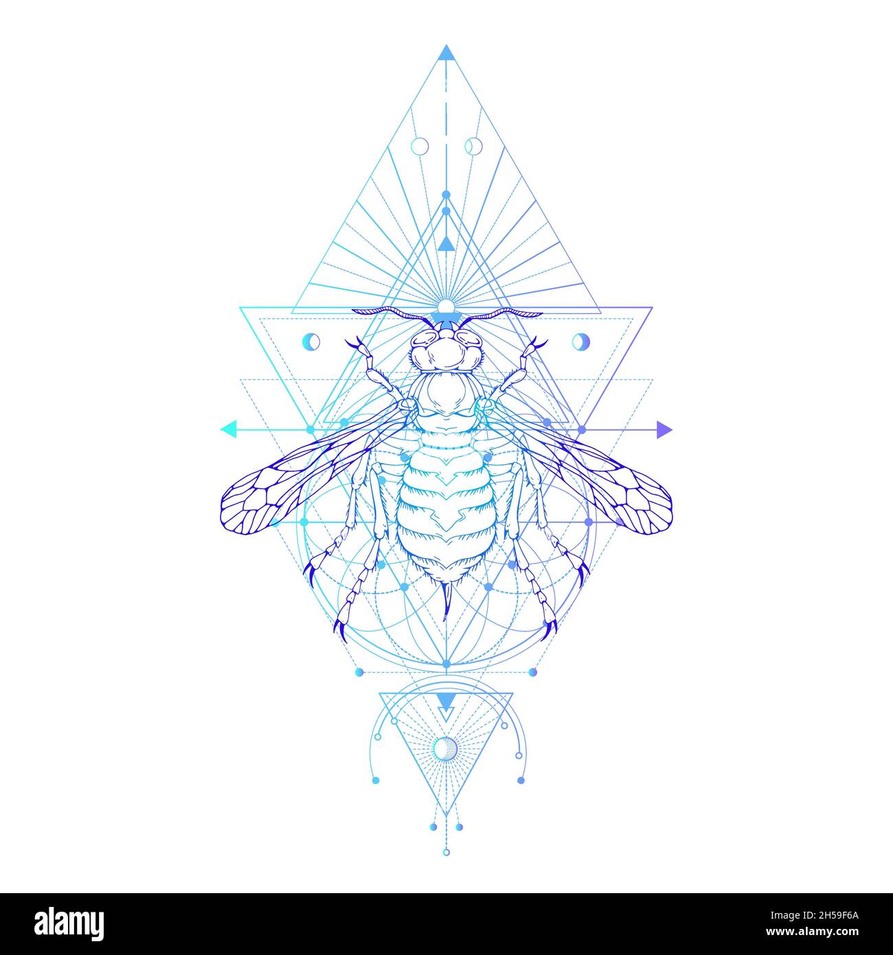 Vector illustration with hand drawn wasp and Sacred geometric symbol on ...