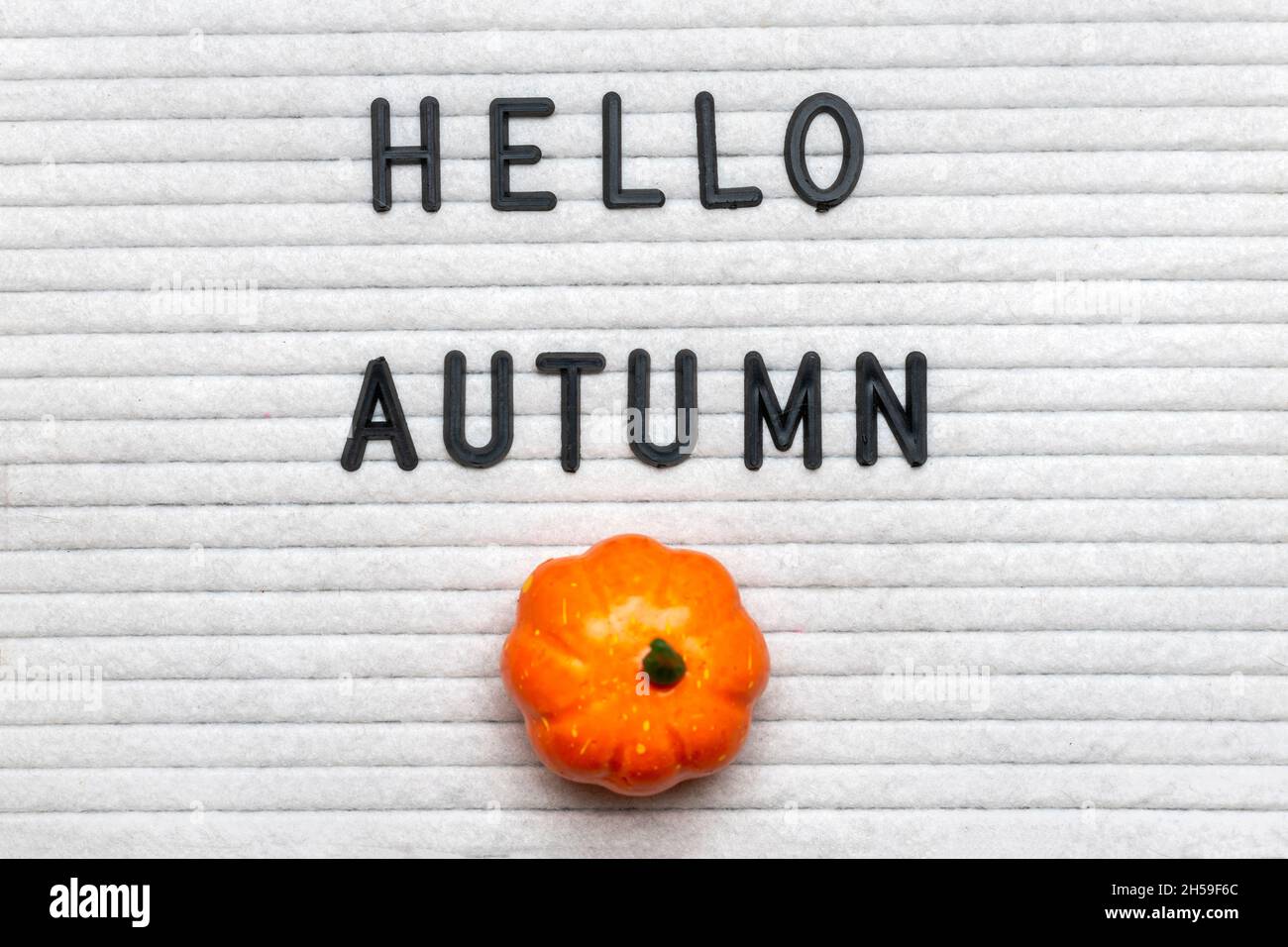 Felt boar with text Hello autumn, pumpkin on orange color background ...