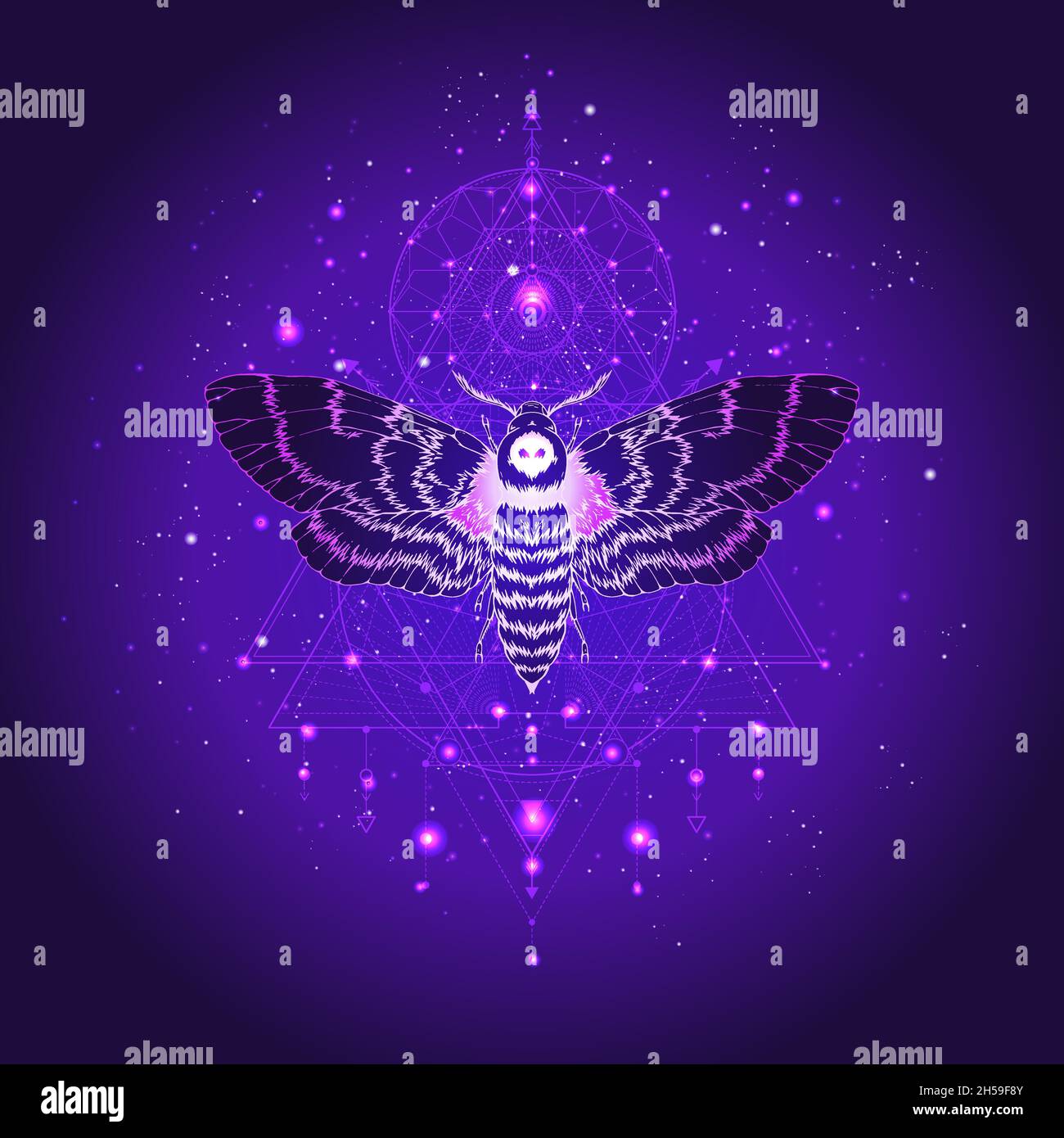 Vector illustration with hand drawn insect and Sacred geometric symbol ...