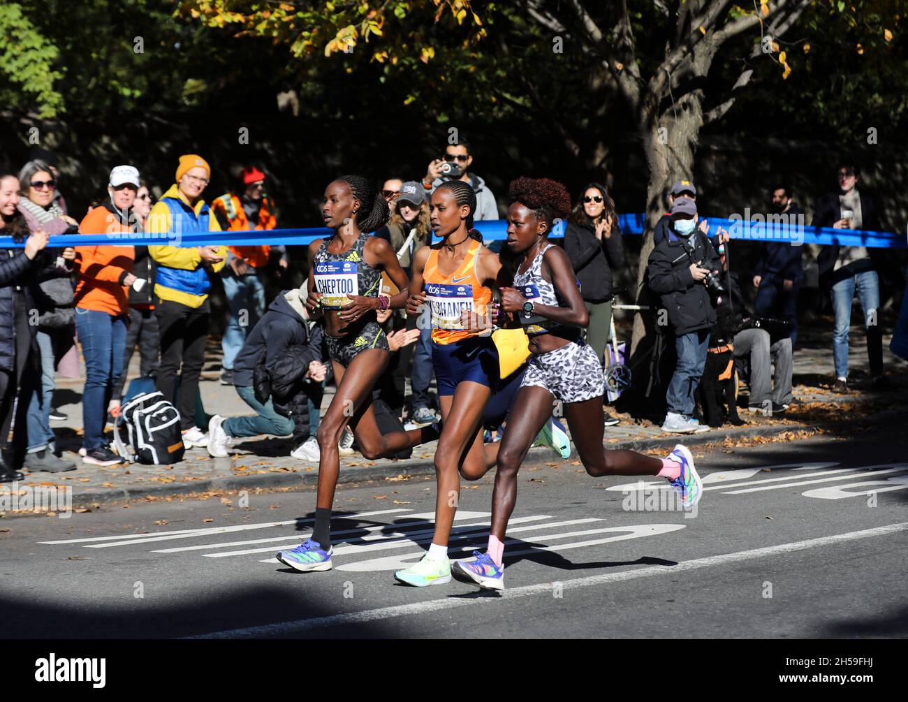 Viola cheptoo hi-res stock photography and images - Alamy