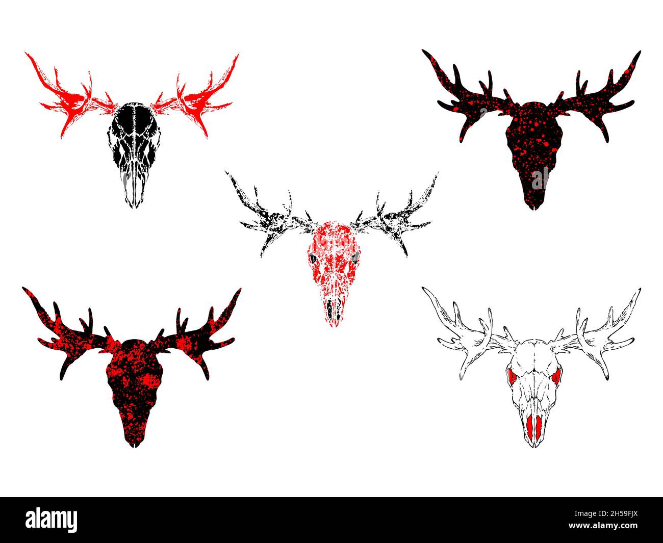 Moose Skull Vector