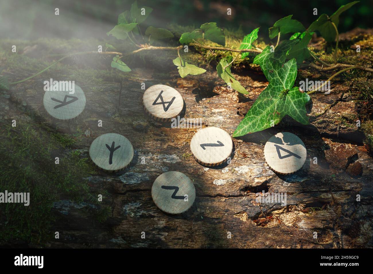 On the trunk of a tree, covered with ivy, are wooden Scandinavian runes ...