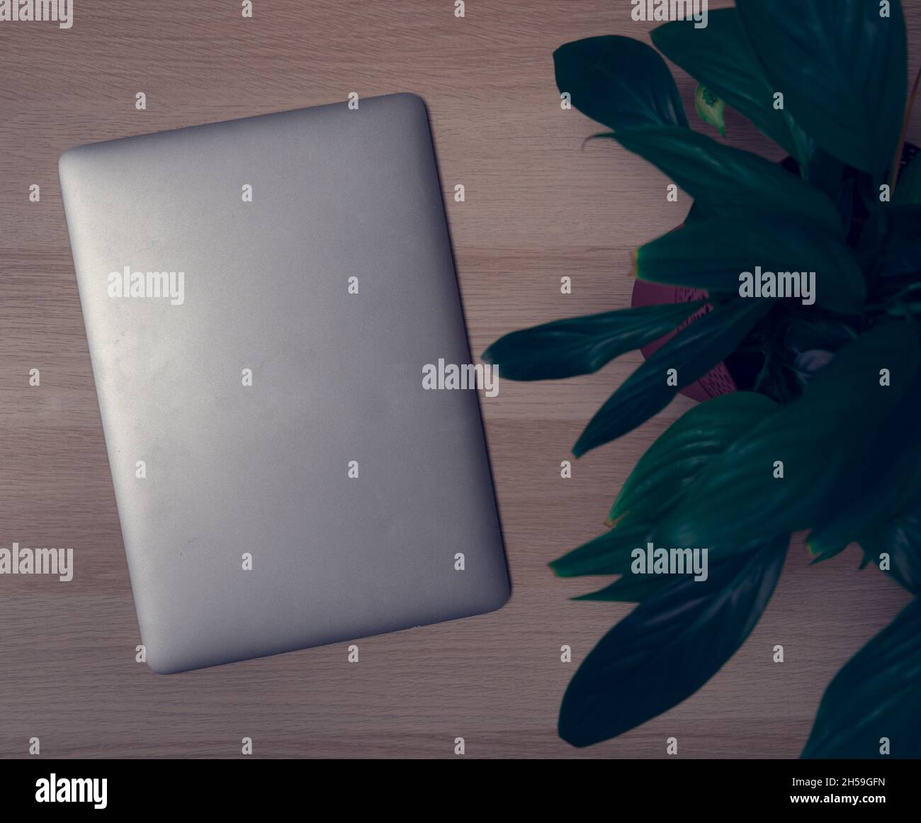 Silver color laptop hi-res stock photography and images - Alamy