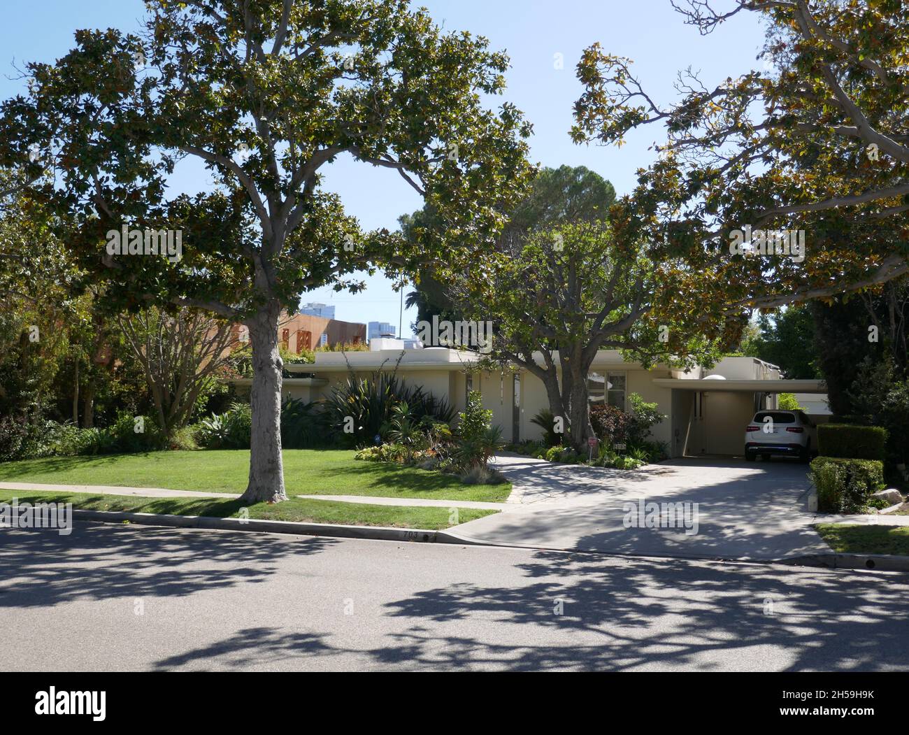 Betty carey fox hi-res stock photography and images - Alamy