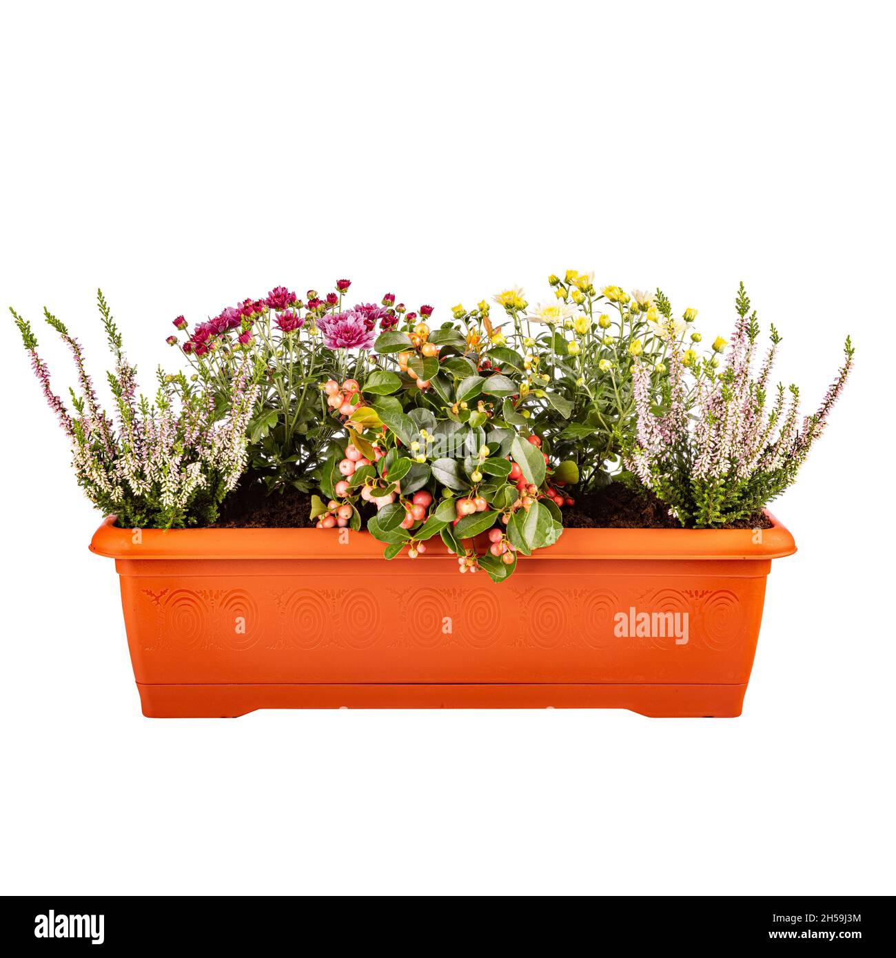 Garden house in autumn Cut Out Stock Images & Pictures - Alamy