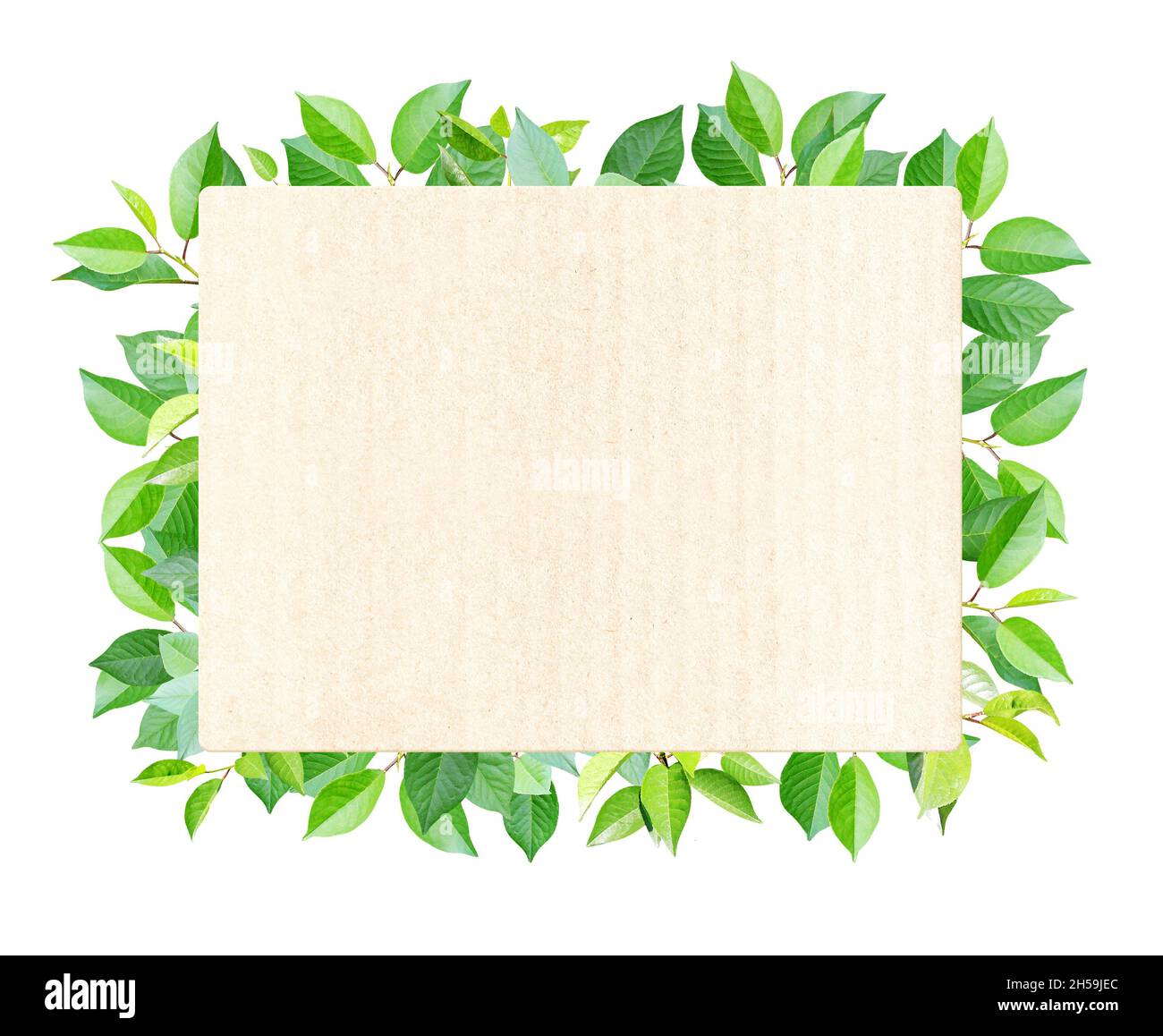 Reuse text on recycled Cut Out Stock Images & Pictures - Alamy