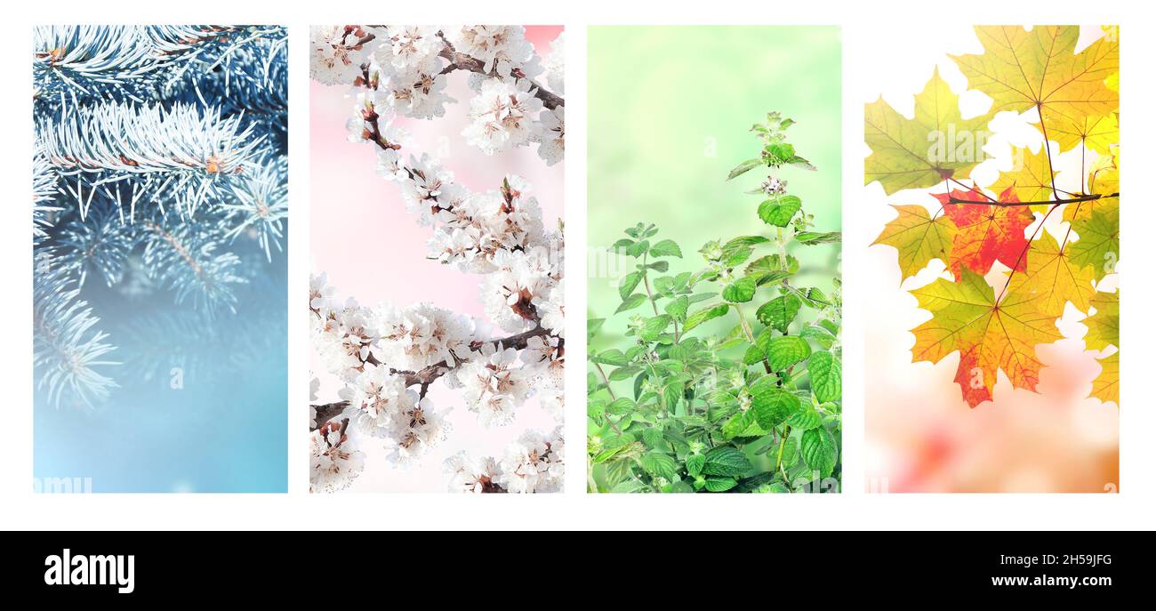 Four seasons of year. Set of vertical nature banners with winter ...