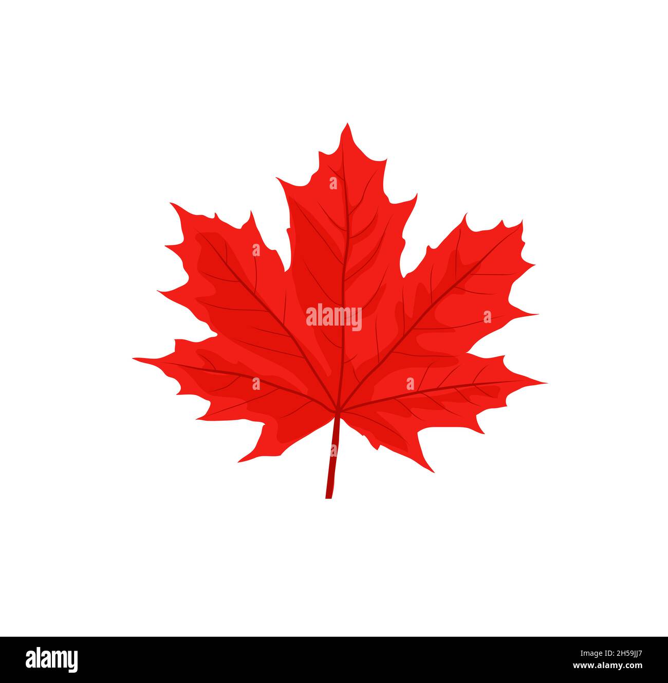 Canada birch Stock Vector Images - Alamy