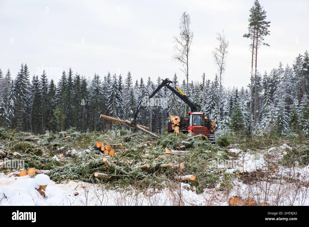 Forwarder forest hi-res stock photography and images - Alamy