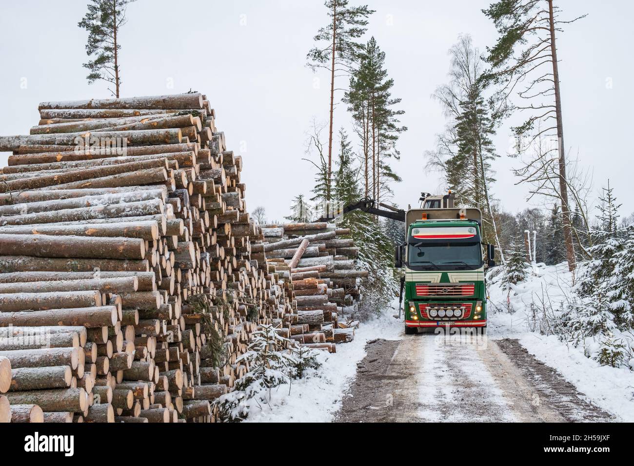 Loading felled trees hi-res stock photography and images - Alamy