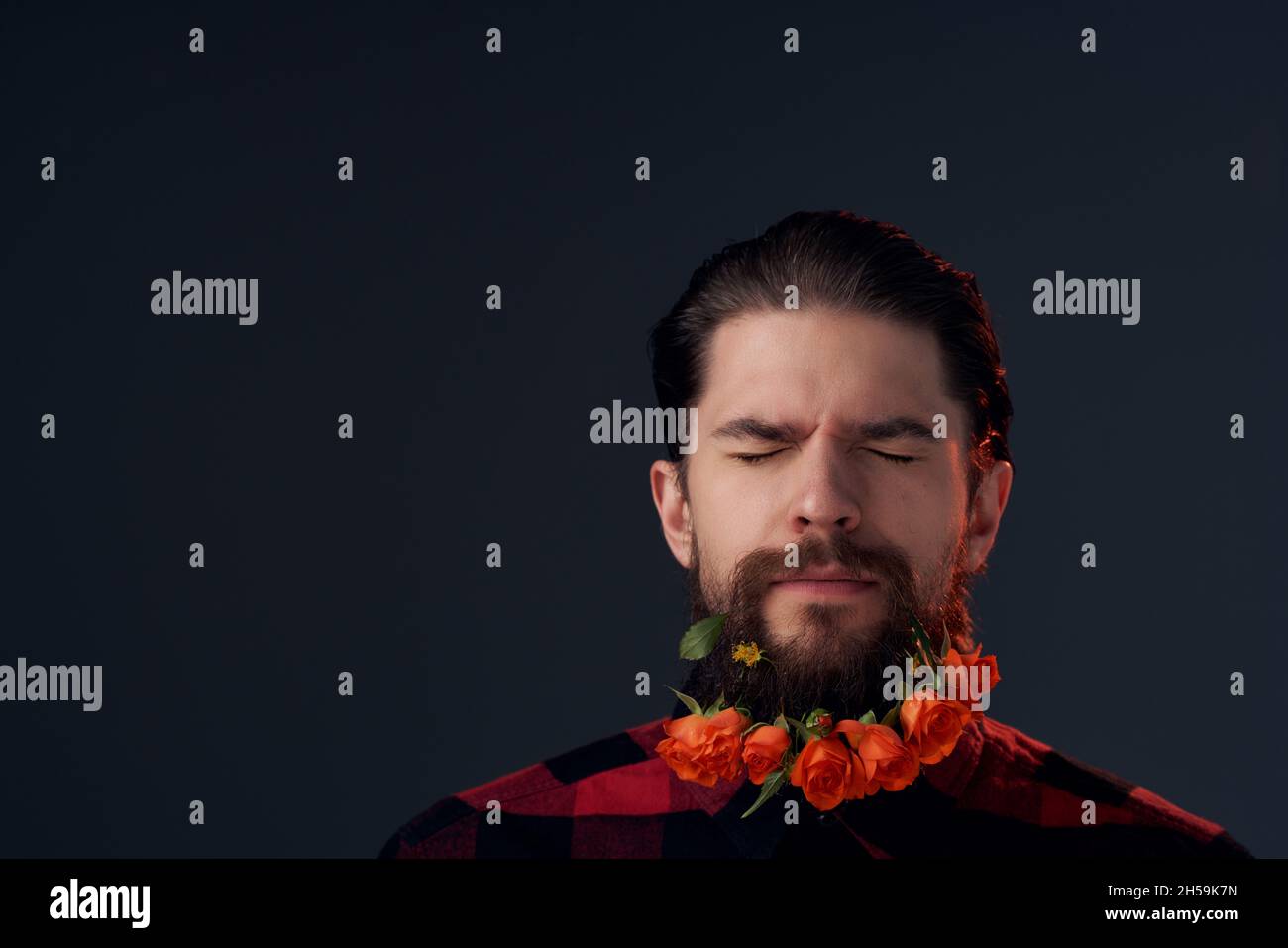 bearded man with flowers in a beard in a plaid shirt dark background ...