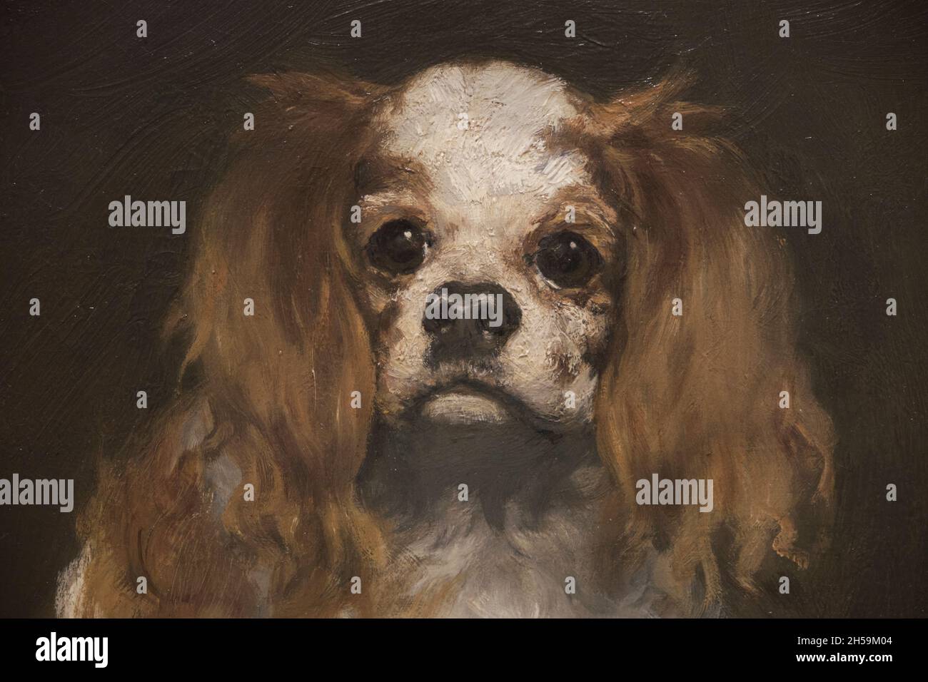 Head detail of an oil painting titled A King Charles Spaniel by Edouard ...