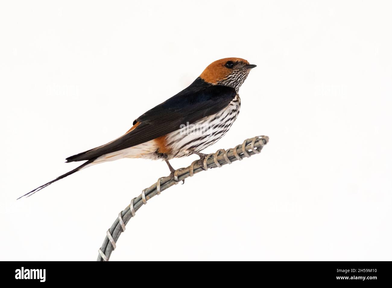 Baviaans river valley hi-res stock photography and images - Alamy