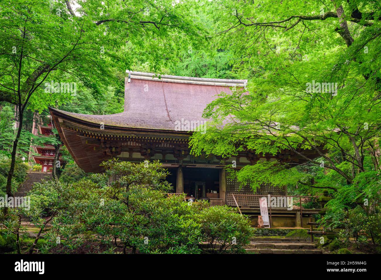 Nara, Japan - 01 July 2019: Muroji Temple Kondo Hall surrounded by ...