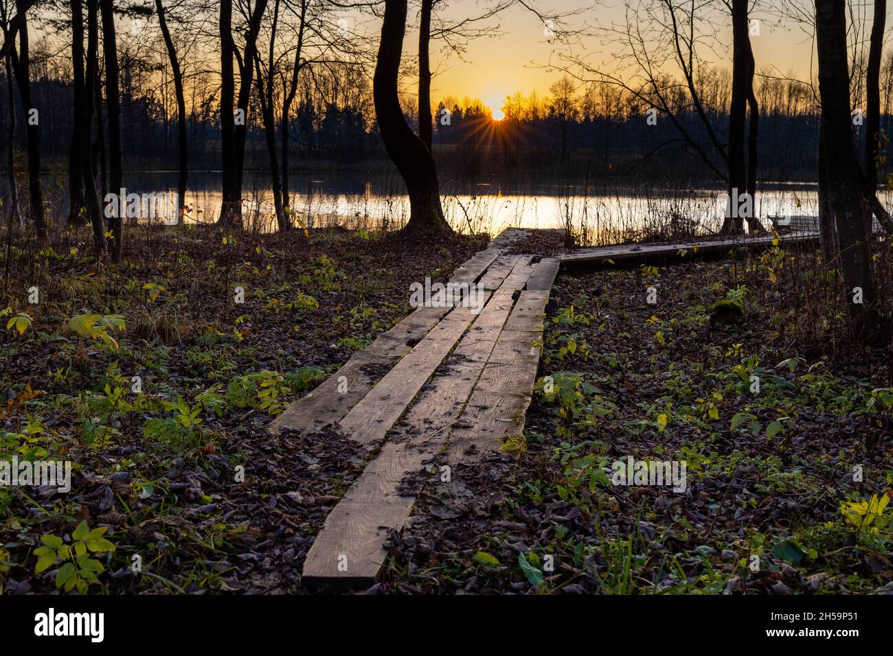 Wooden deck leading to the lake. Beautiful sunset landscape, sun over ...