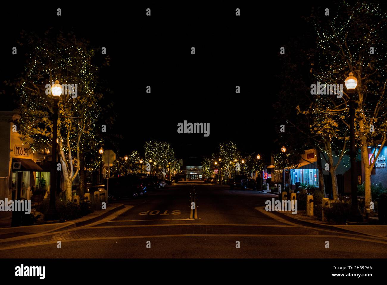 Asphalt road with trees and beautiful streetlights at night Stock Photo ...