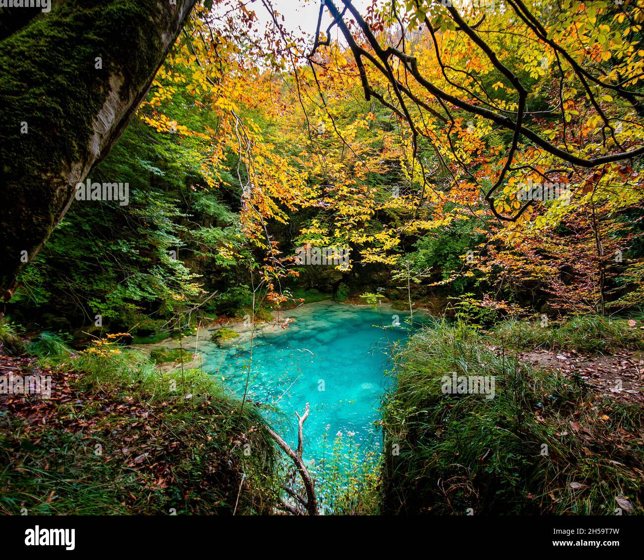 Forest turquoise blue lake with white marble stones and waterfalls in ...