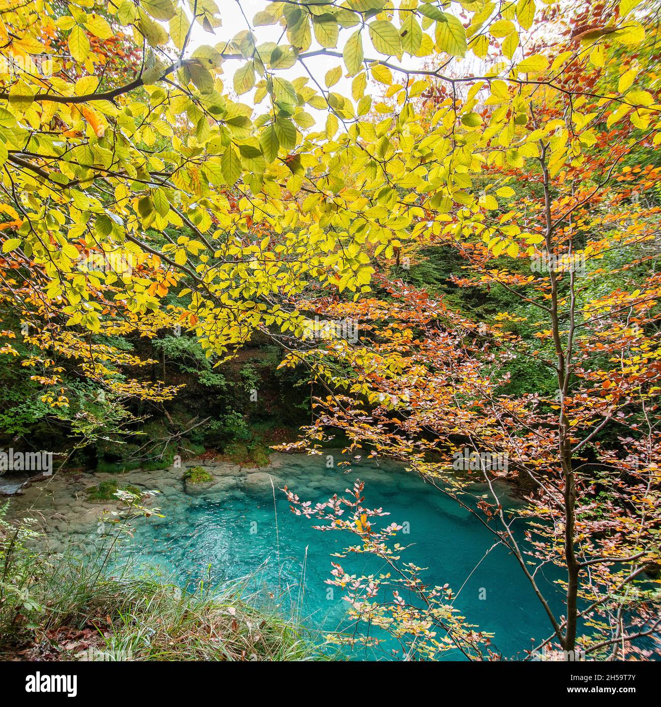 Forest turquoise blue lake with white marble stones and waterfalls in ...