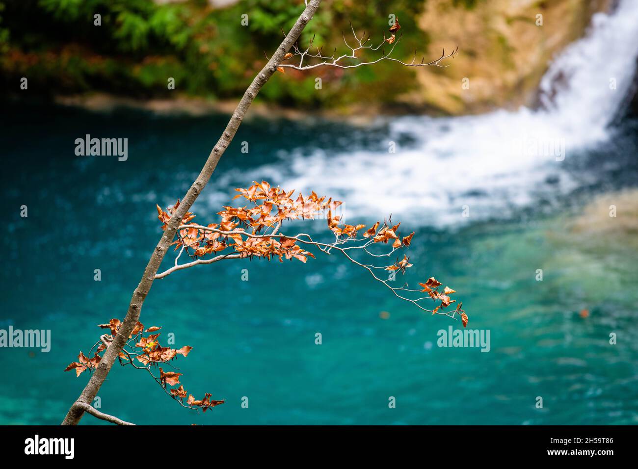 Forest turquoise blue lake with white marble stones and waterfalls in ...