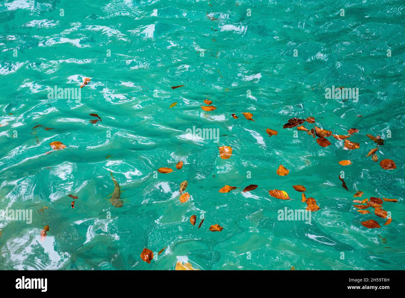 Forest turquoise blue lake with white marble stones and waterfalls in ...