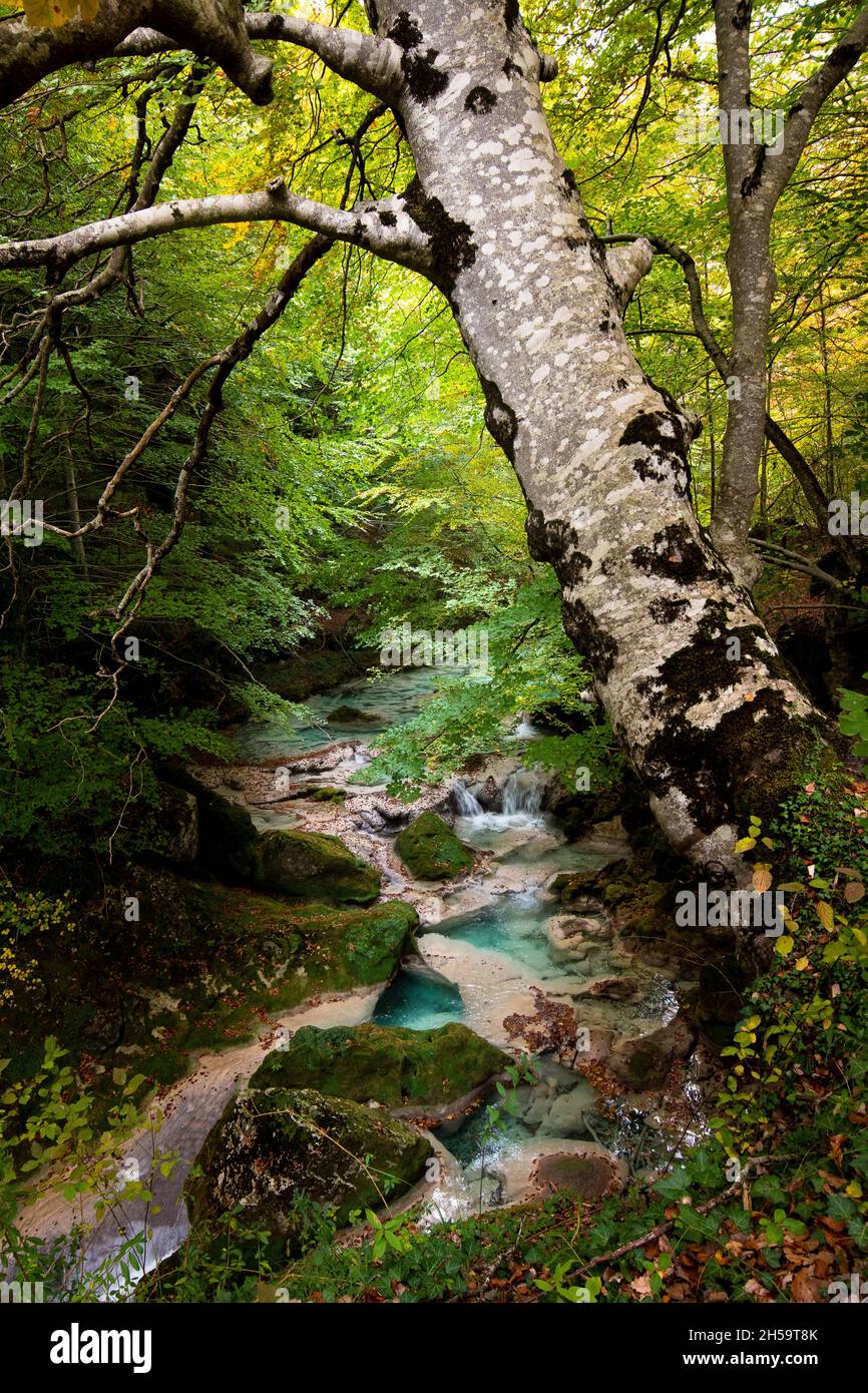 Forest turquoise blue lake with white marble stones and waterfalls in ...