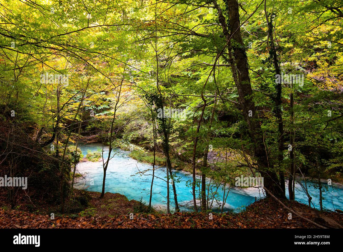 Forest turquoise blue lake with white marble stones and waterfalls in ...