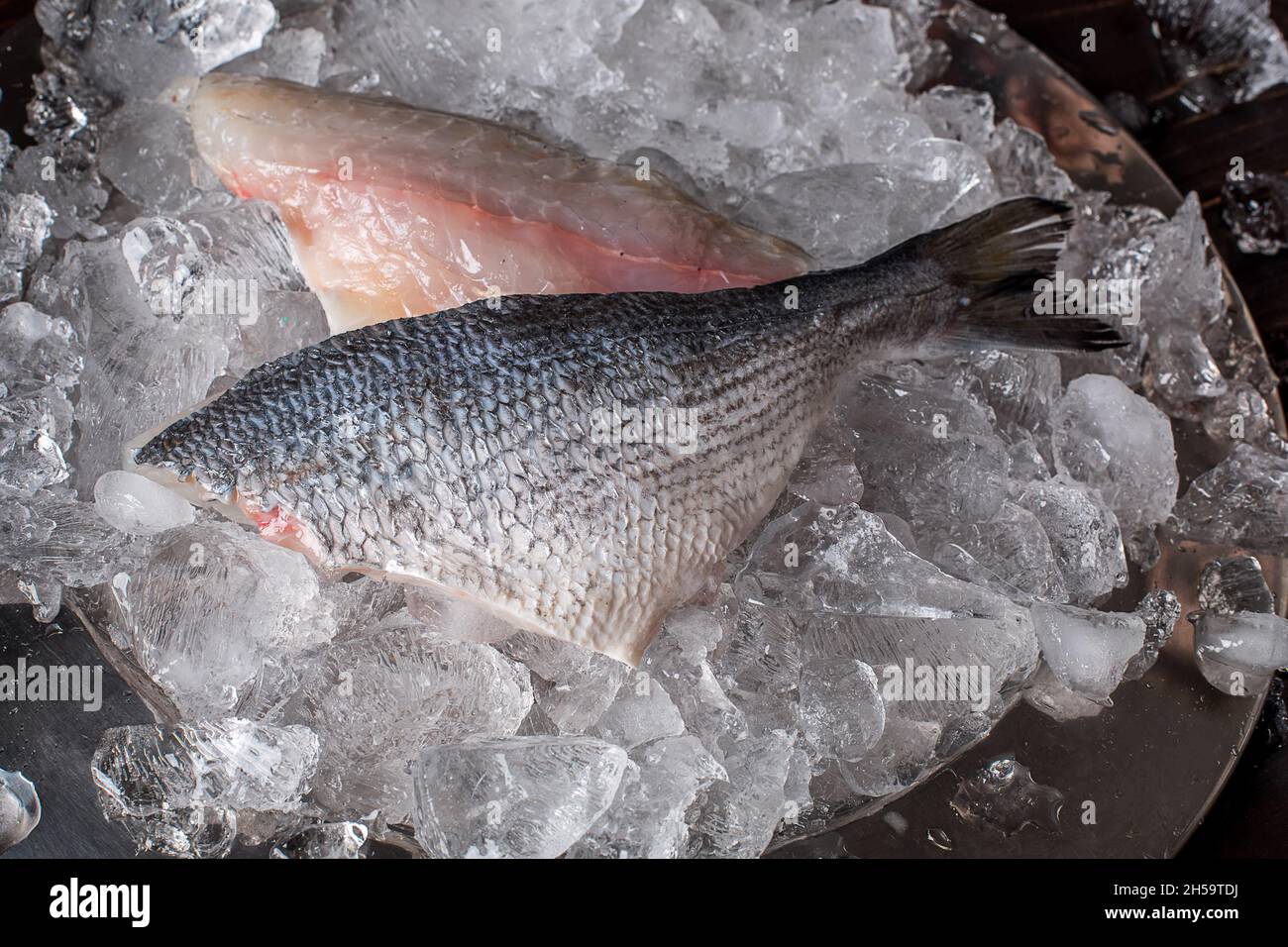 Seafood cooking preparation. Top view of dorado fillet on ice Stock ...