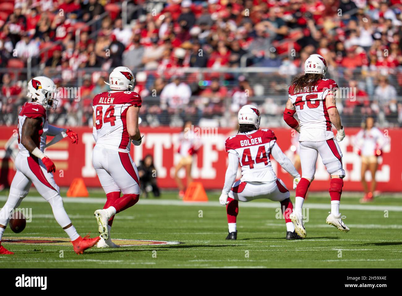 Golden snapper hi-res stock photography and images - Alamy