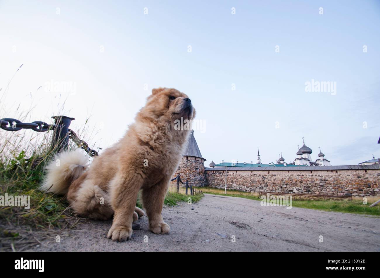 Unyielding fortress hi-res stock photography and images - Alamy