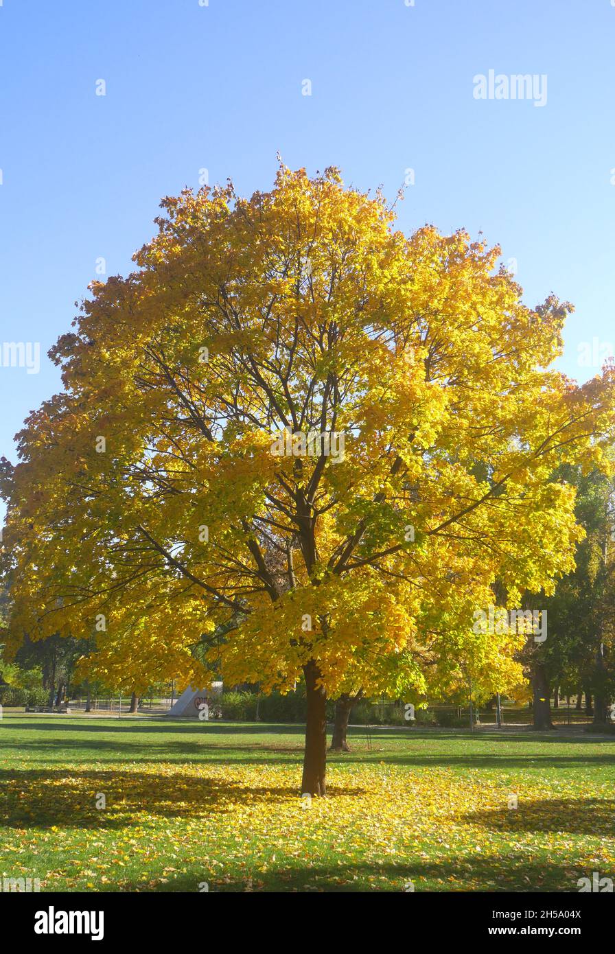 Hungary colours hi-res stock photography and images - Alamy