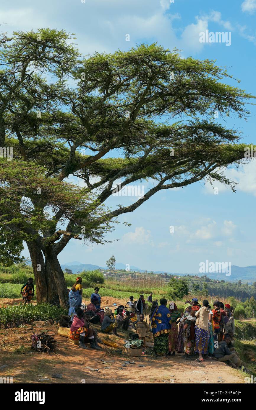 Lifestyle life hi-res stock photography and images - Alamy